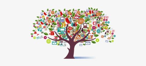 Comparing the Lifecycle of a Tree to that of Online Marketing ...